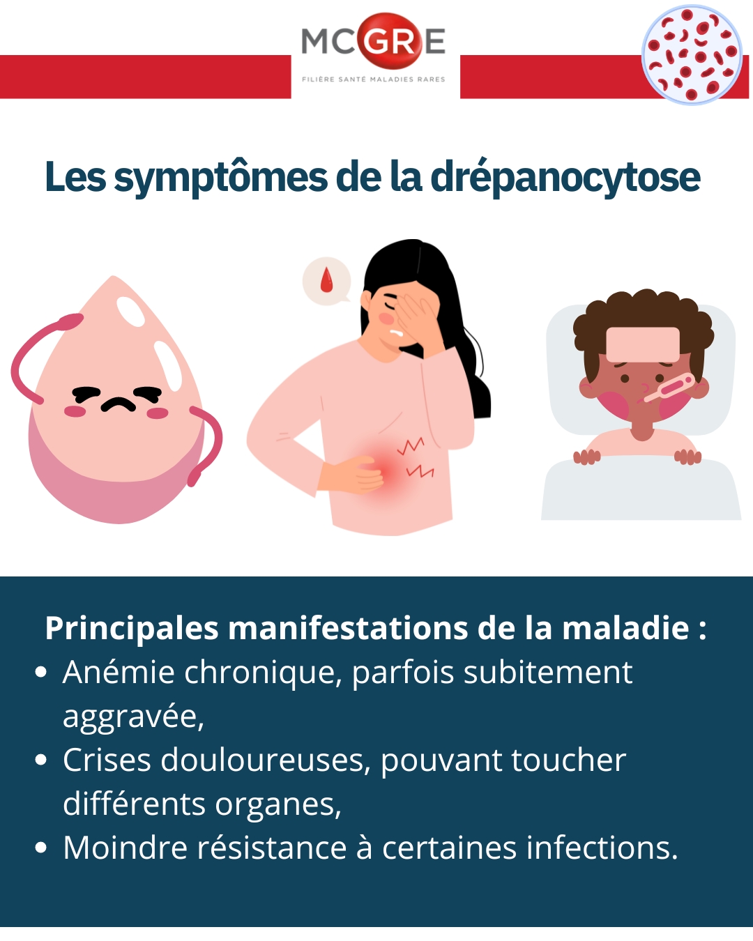 Drépanocytose - MCGRE - Filière de santé maladies rares